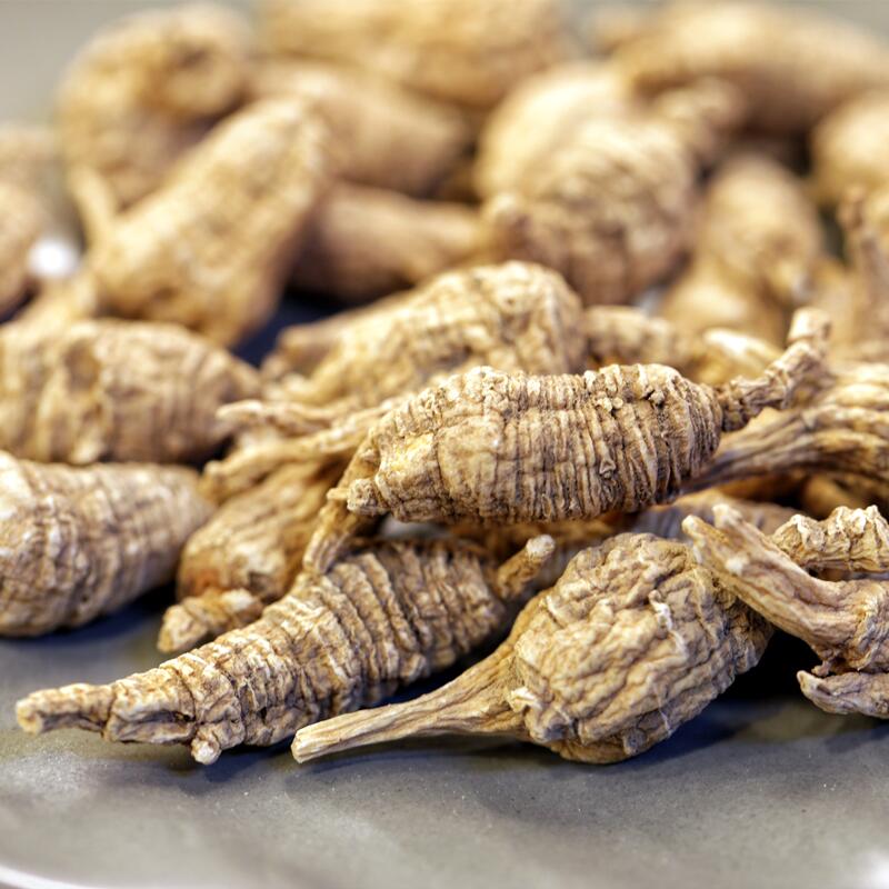 American Ginseng – EAGLE OCEAN TRADING INC